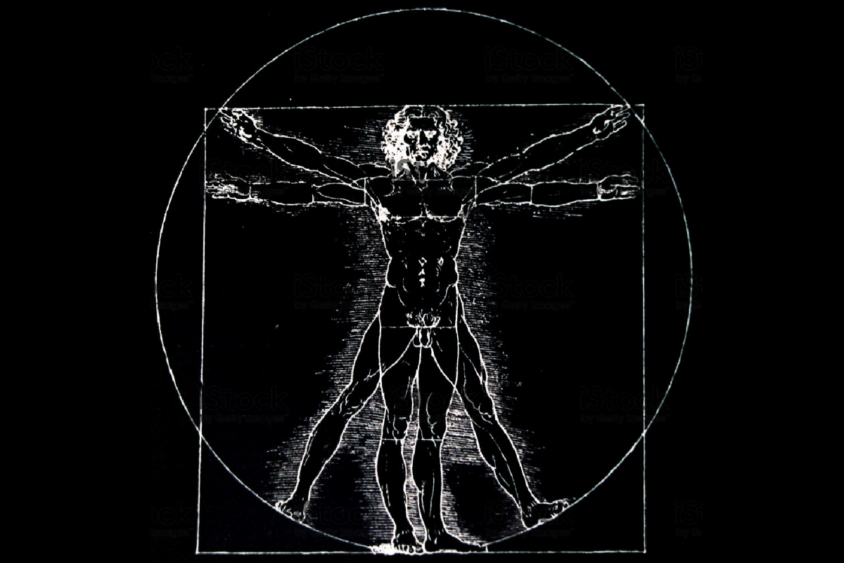 Balance – The Haunted Hive