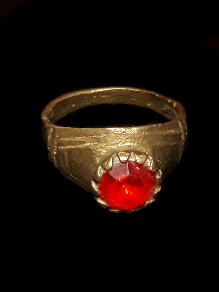 Immortal Vampire Crowned Prince Varien – The Haunted Hive